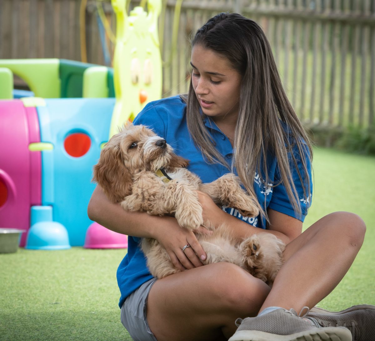 A Beginner’s Guide To Puppy Socialisation - Bruces Doggy Daycare