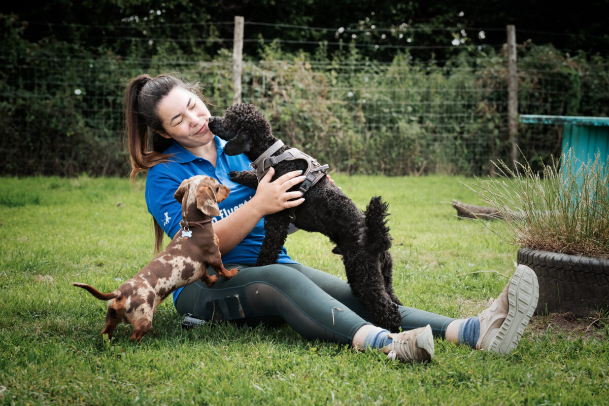 Careers - Bruces Doggy Daycare