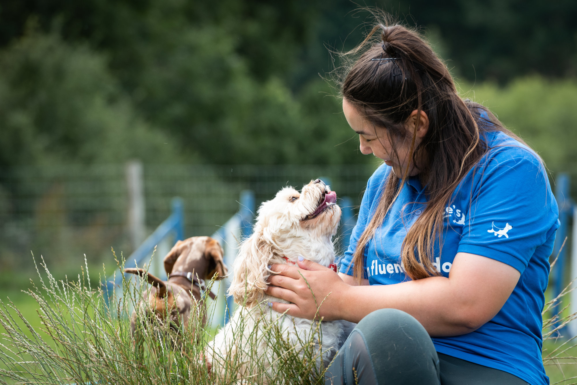 Carer - Bruces Doggy Daycare