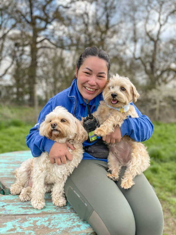 Home - Bruces Doggy Daycare