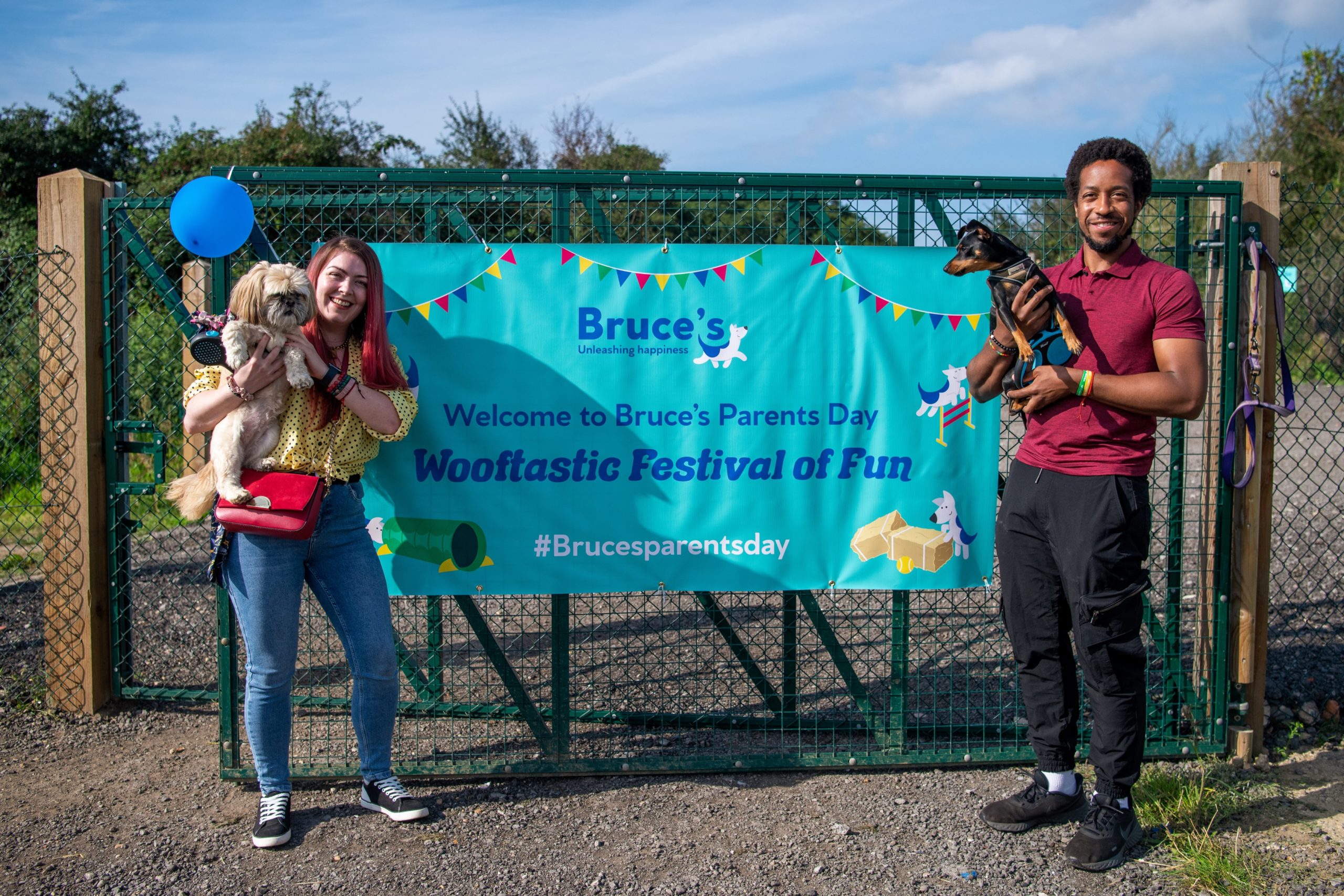 Bruce's Cobham Parents Day Gallery - Bruces Doggy Daycare