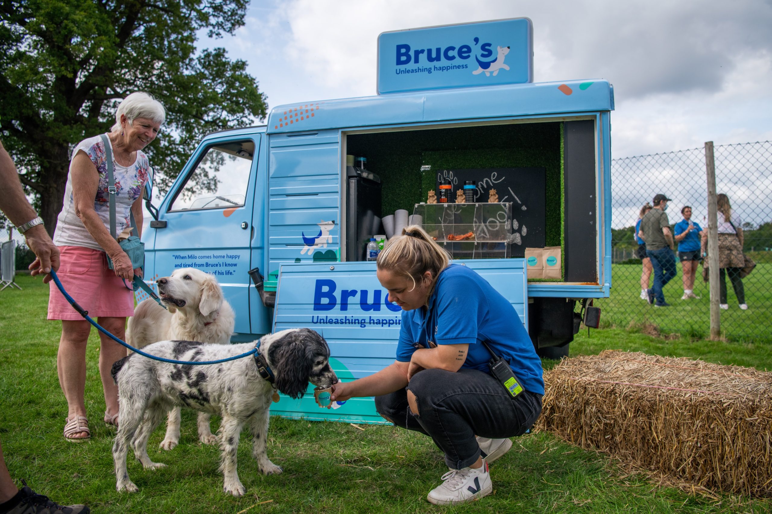 Bruce's Cobham Parents Day Gallery - Bruces Doggy Daycare