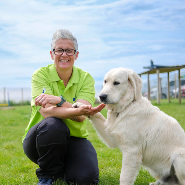 Tunbridge Wells - Bruces doggy daycare
