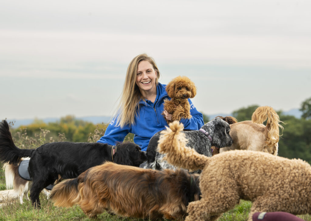 FAQs - Bruces Doggy Daycare